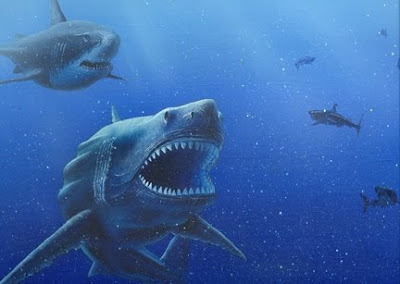 GOD MADE THIS THING: Megalodon Artwork