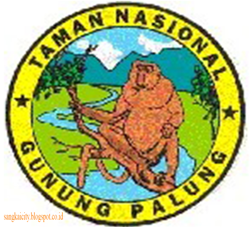 Taman Nasional Gunung Palung (TNGP) | Sangkay City