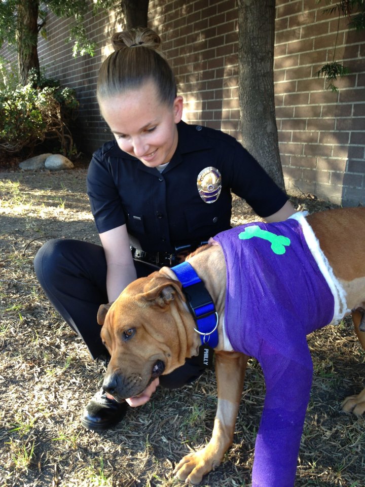 AnimalPalooza: LAPD Officers Save Injured Dog Left For Dead