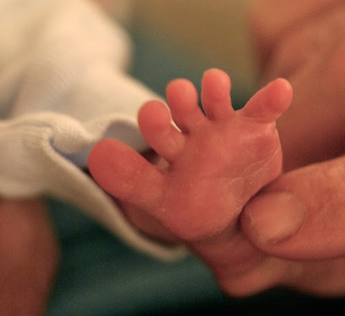 Harmony at Home: Newborn Reflexes