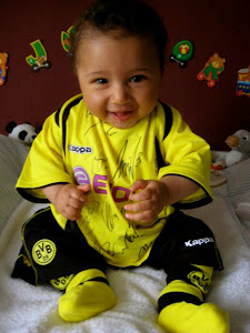 BvB Ole: Tageskassen öffnen am Samstag um 14 Uhr