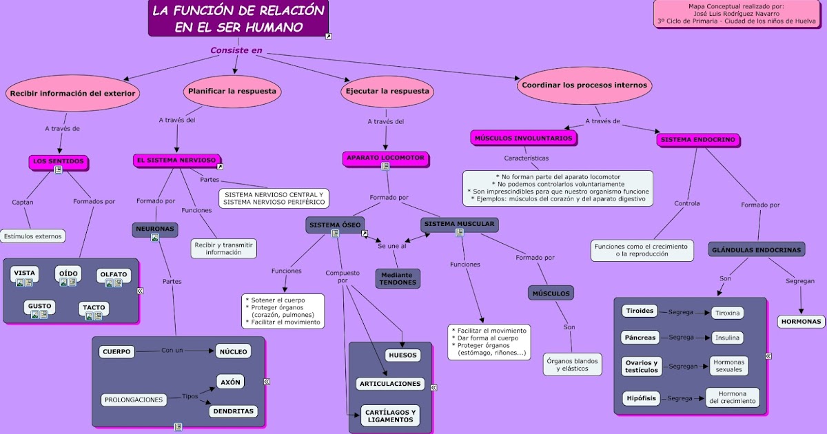 EL CURSO CON MÁS SWAG: Esquema funció de relació