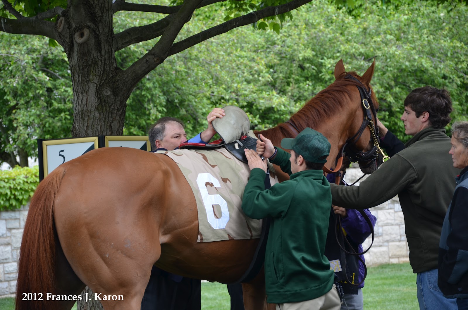 Running Rough Shod: Wise and Successful Lisa Danielle