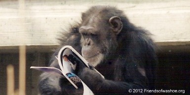 Methow Conservancy: Of Chimps & Mammoths