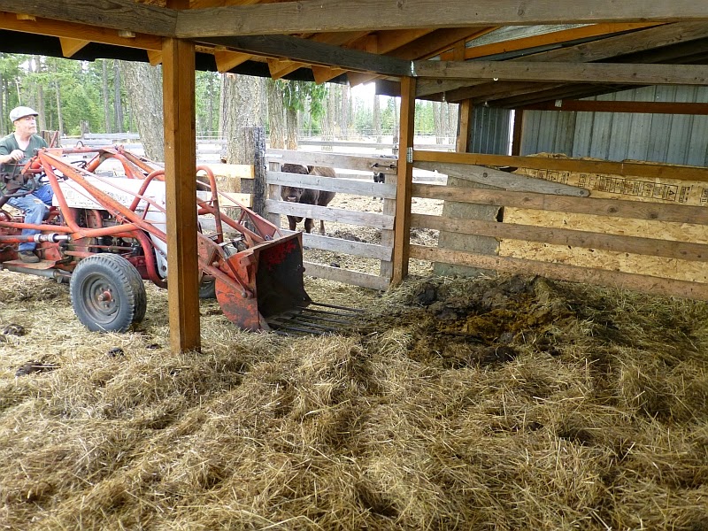 Rural Revolution: Building feed boxes