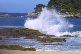 Chile Sorprendente : Caleta Cóndor. Osorno