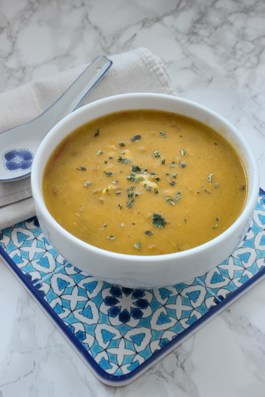 Fava beans And Lentils Winter Soup - Nature Whisper