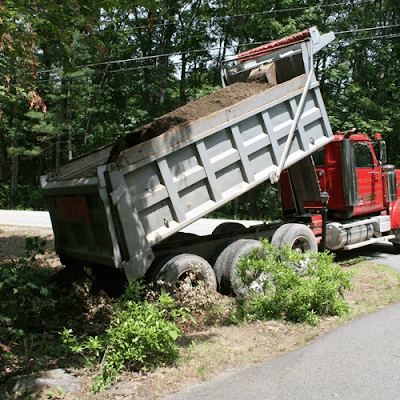 Jenn Ski: Landscape project