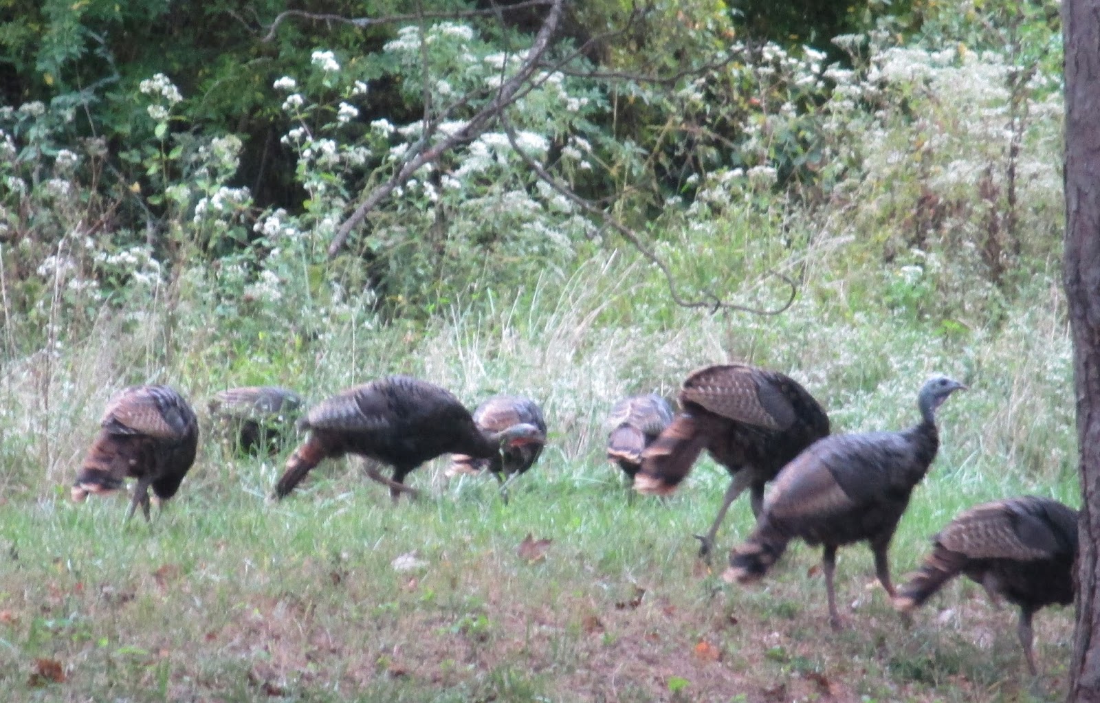 My eyes were here: The great array that is available to us