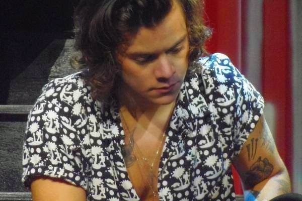 One Direction Girls ♥: Concierto en Charlotte, EEUU.-Where We Are Tour ...