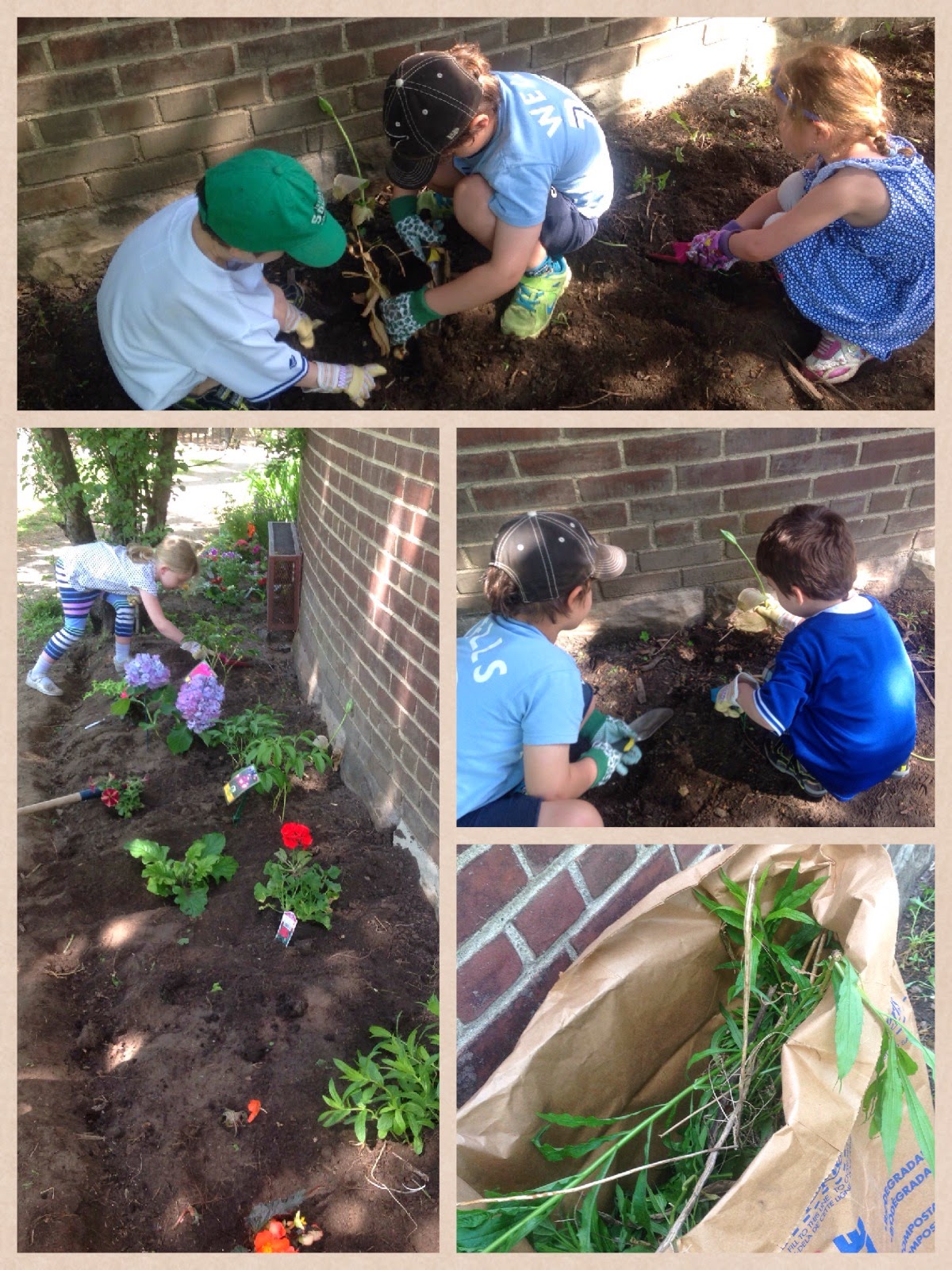 Wonders in Kindergarten: Creating our beautiful flower garden!