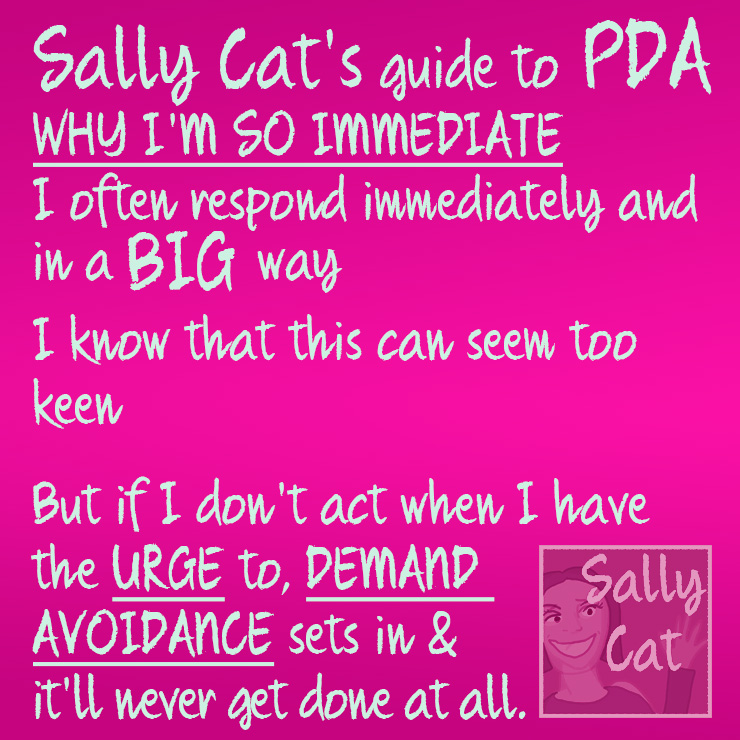 Sally Cat PDA: Memes About Demand Avoidance