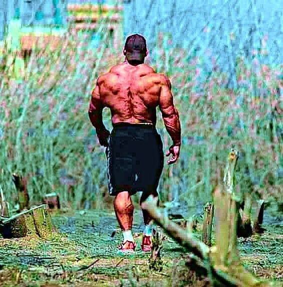 Worldwide Bodybuilders: Egyptian bull god Anwar Saif El Sayed