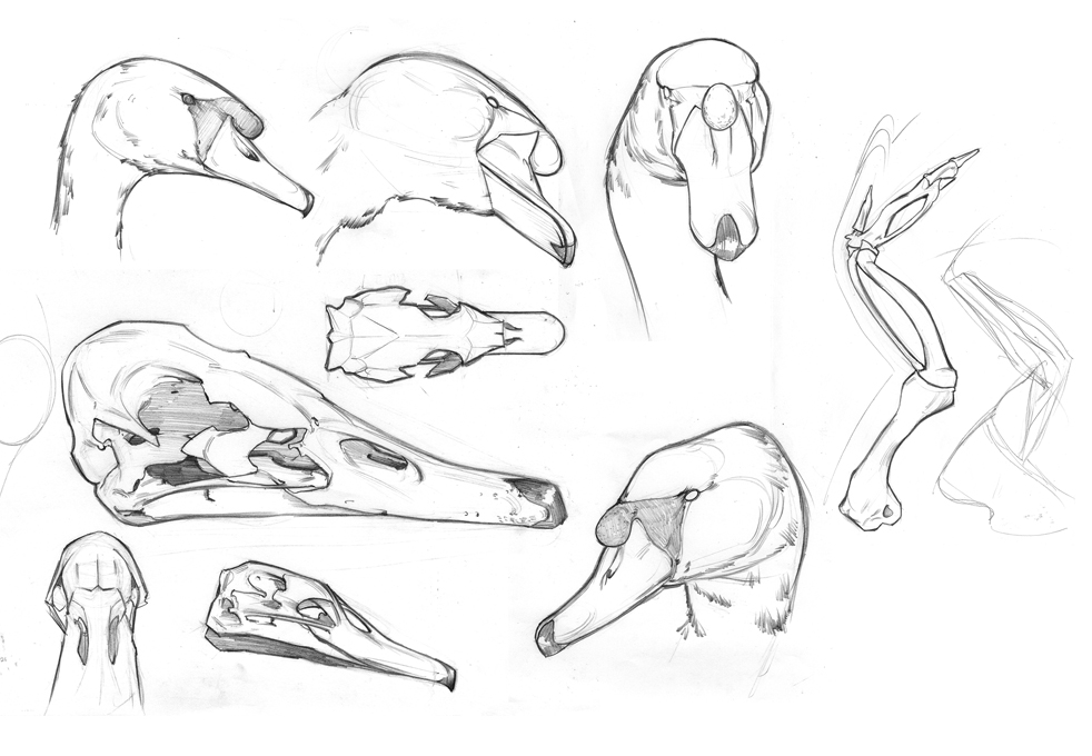 Dustsplat: Swan studies