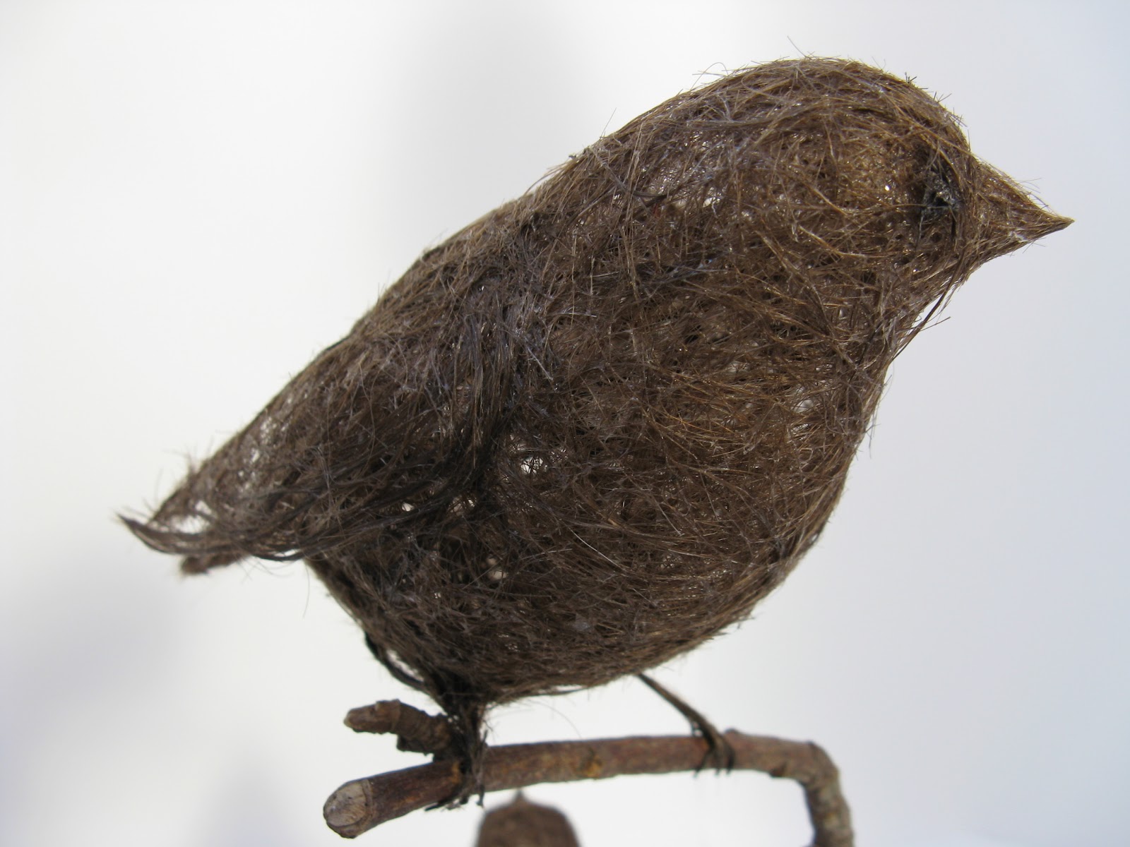 Bethany Y Milam In The Studio: More Than Sparrows