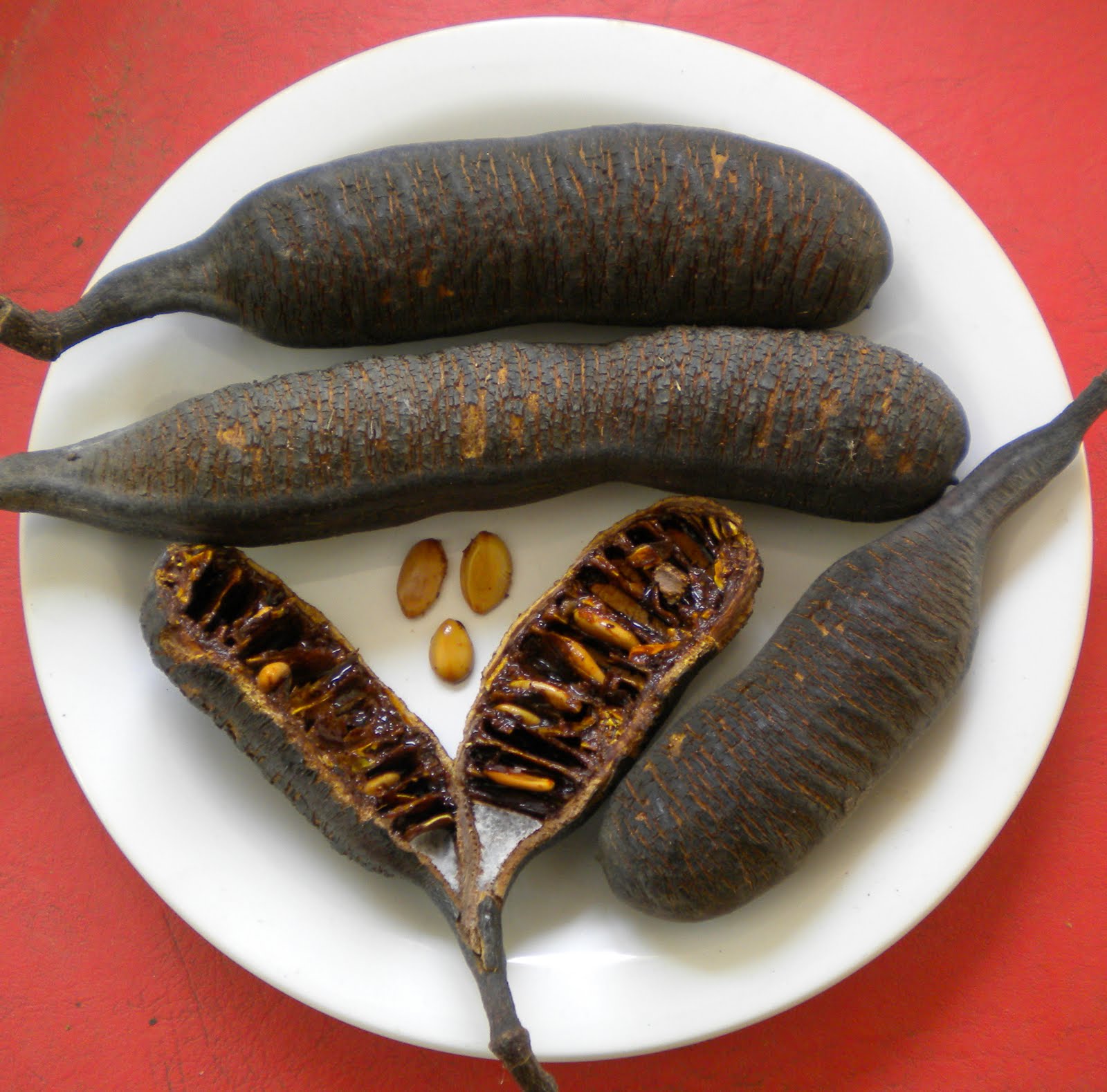 Life Food: La Dulce Cañandonga