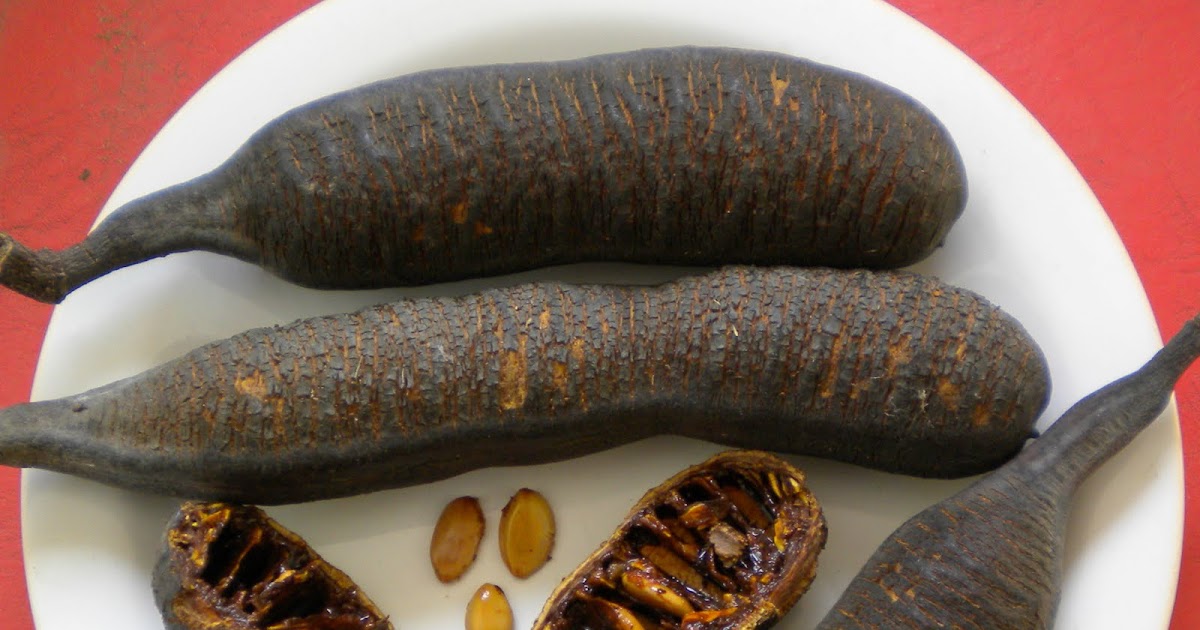 Life Food: La Dulce Cañandonga