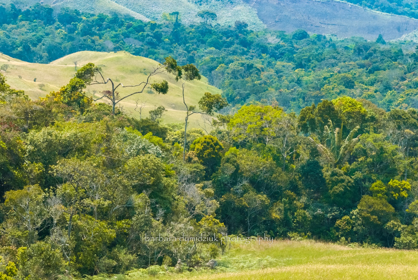 barbara dymidziuk photography: Wenezuela / Venezuela