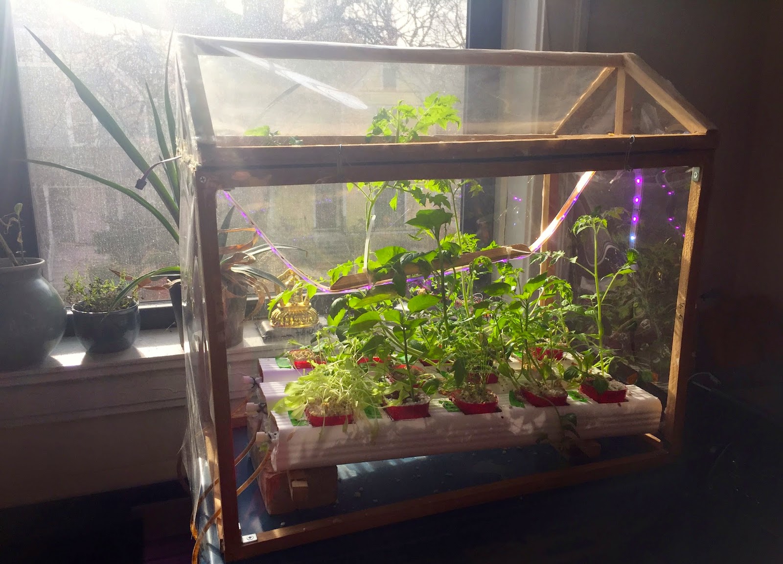 Raspberry Pi Powered Hydroponics