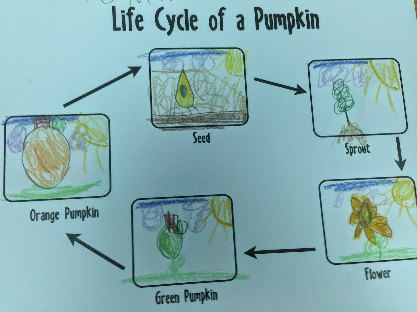 The Adventures of a K/1 Teacher: Apples and Pumpkins and Fall, Oh My!