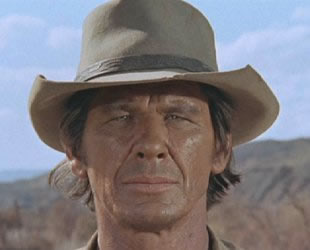 OIK´S BLOG: CHARLES BRONSON (1921 - 2003)