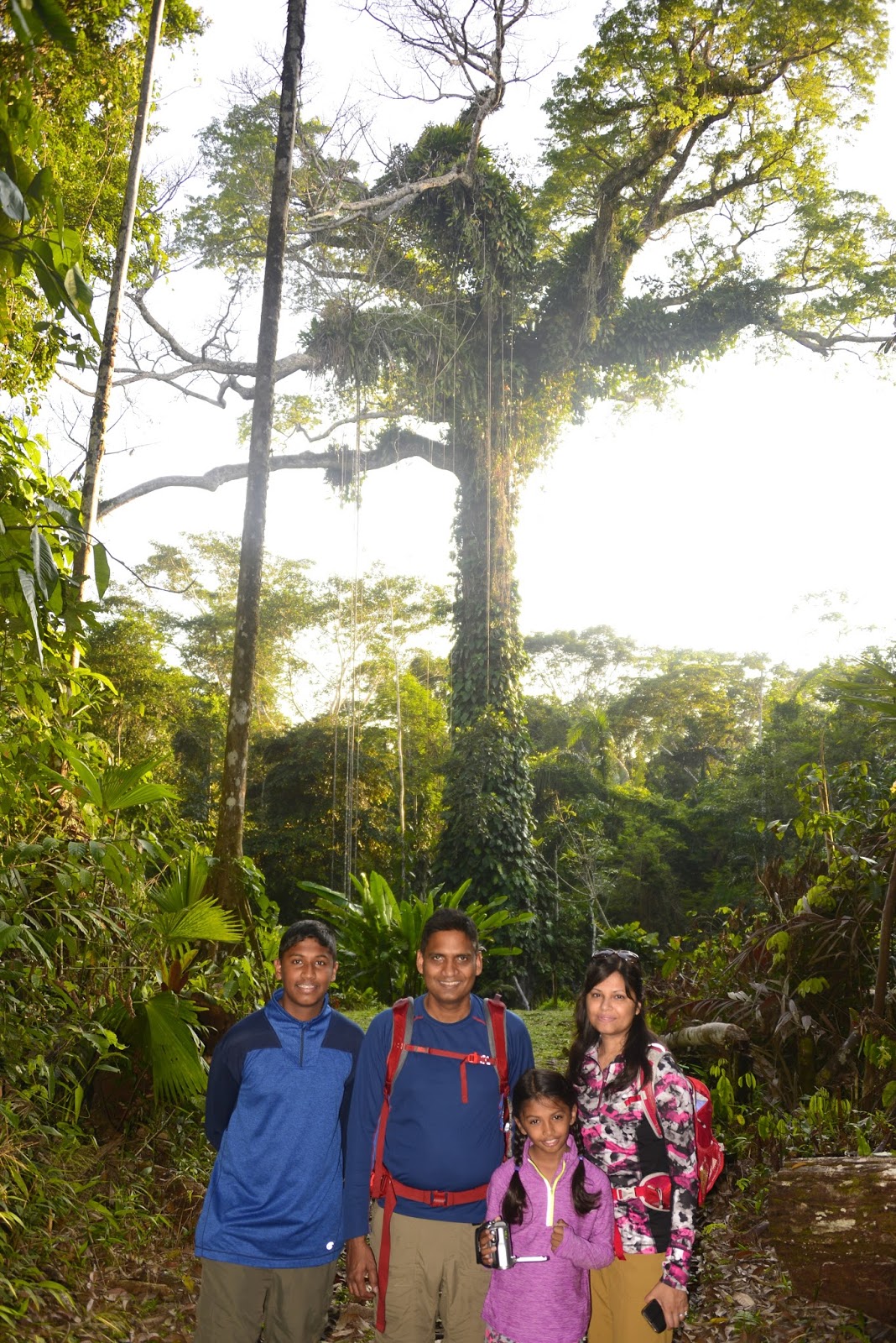 PERU Trip: Amazon Rainforest