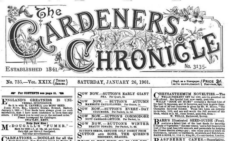 The Promise of Seeds: Magic in a Packet: 1883 - Commodore Nutt: The ...