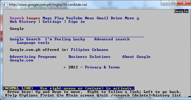 How to Install Lynx Text Web Browser and Inspect Your Website's Content