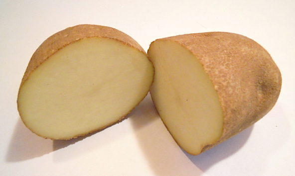 An Elephant a Day: Elephant No. 18: Potato Printing