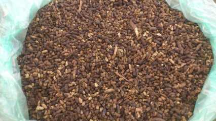 ORGANIC FERTILIZER: BAT GUANO (BAT MANURE)
