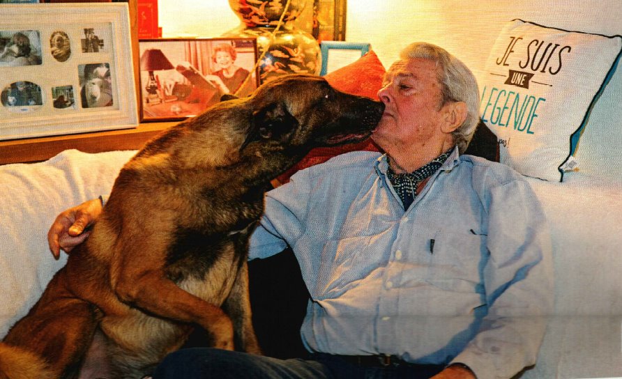 PERROS Y GATOS FAMOSOS: ALAIN DELON PASSION POUR LES ANIMAUX