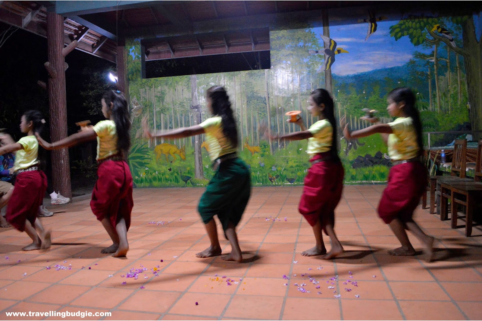 Travelling Budgie: Chambok - Homestay in Eco Tourism Community | Cambodia