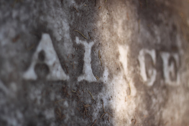 Alice Flagg: A Ghost Story