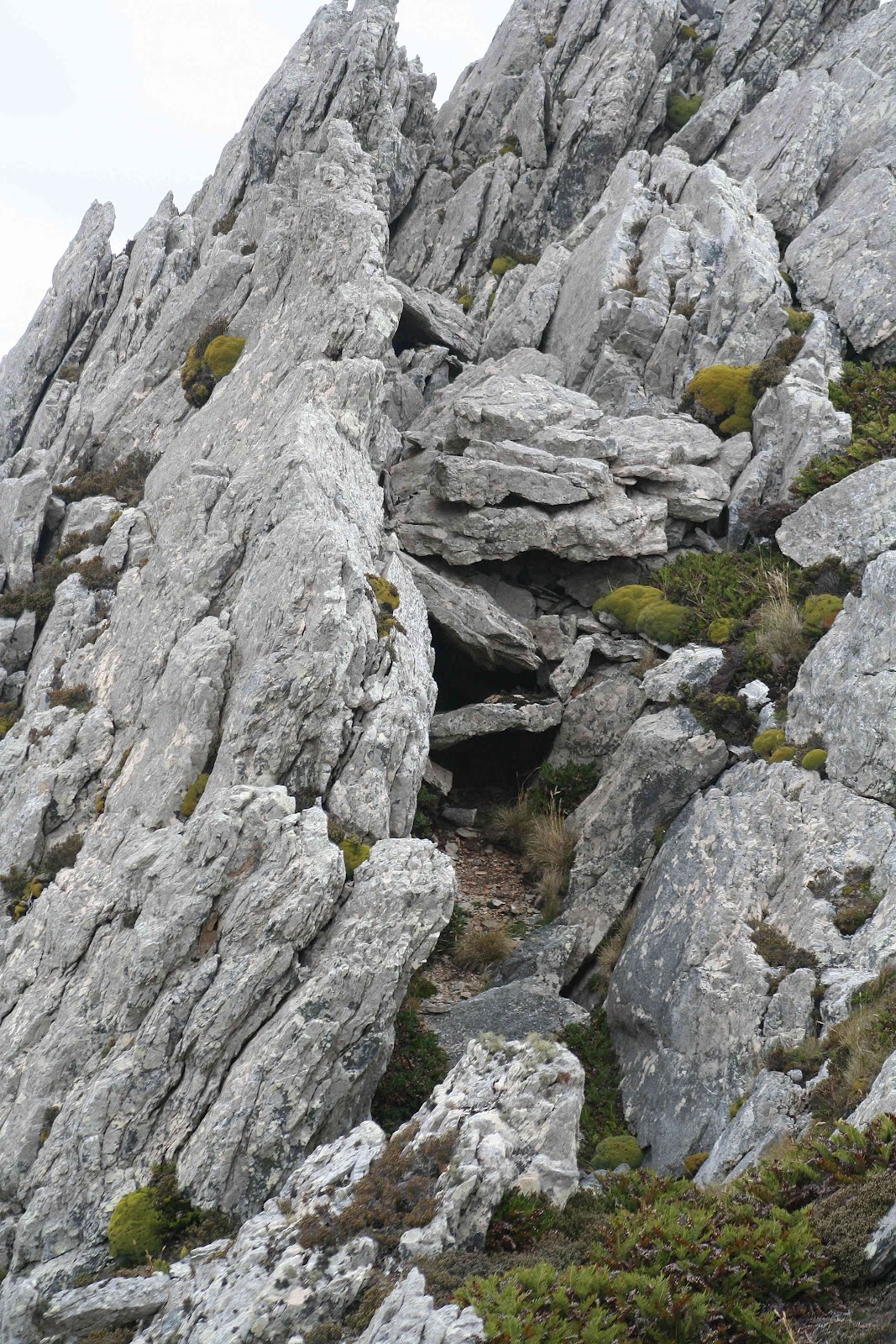 Big Falkland's Adventure: Mount Longdon
