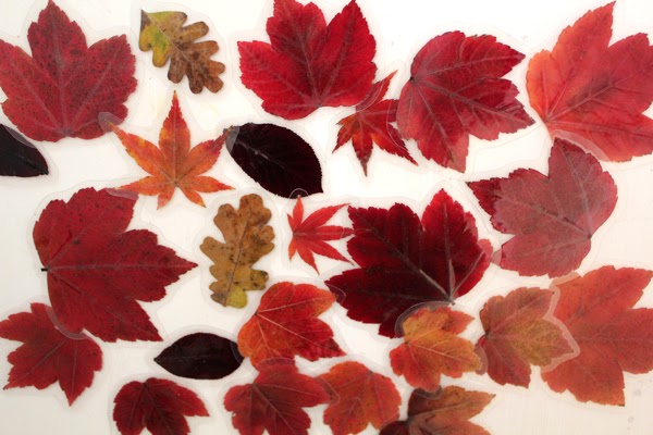 Filth Wizardry: Laminated Autumn leaf magnets