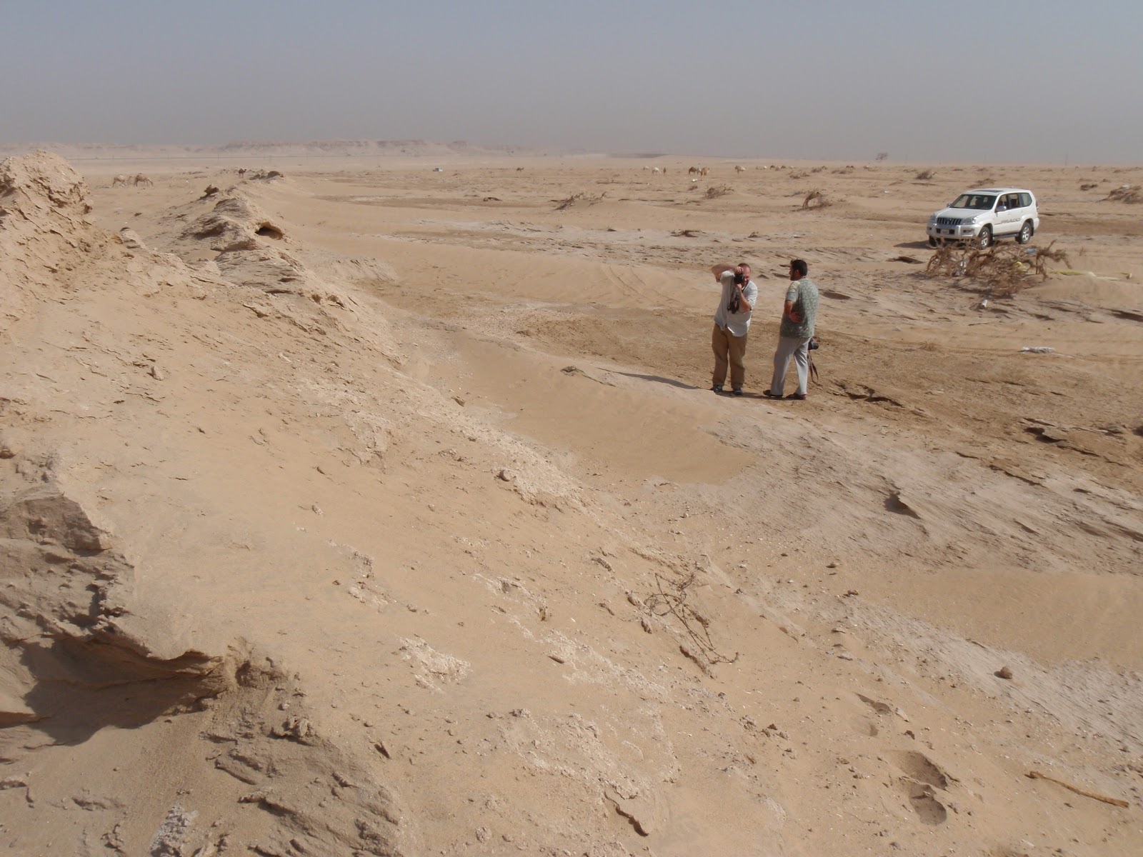 Athens Nature Journal: Nature Visit to Kuwait in late September