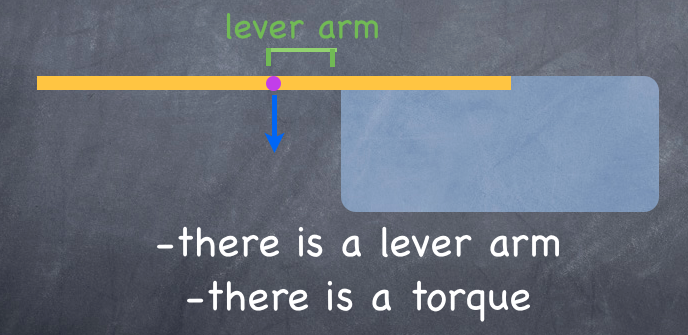PHYSICS«« Catherine Eckerd 2013: Meter Stick Experiment