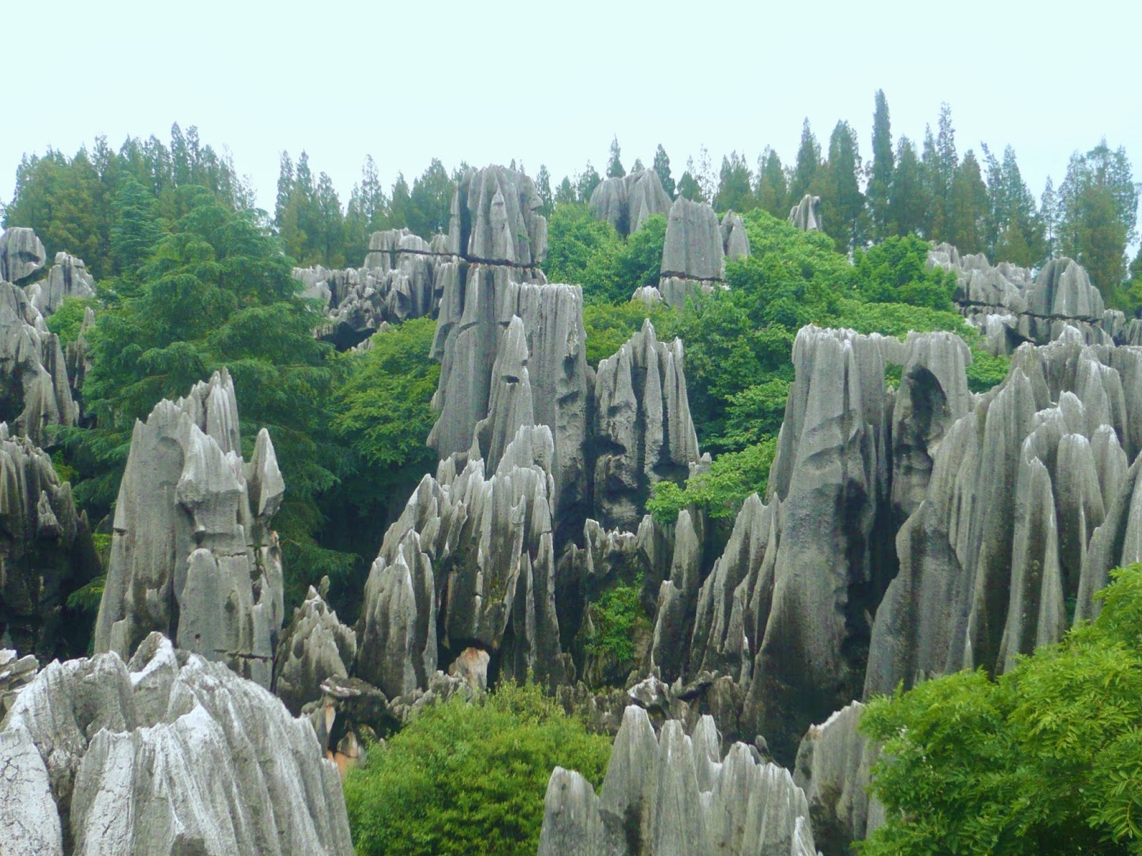 Gift of Nature: Amazing Natural Beauty The Shilin Stone Forest