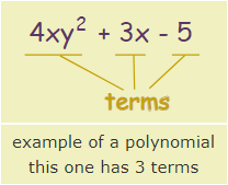 Polynomials