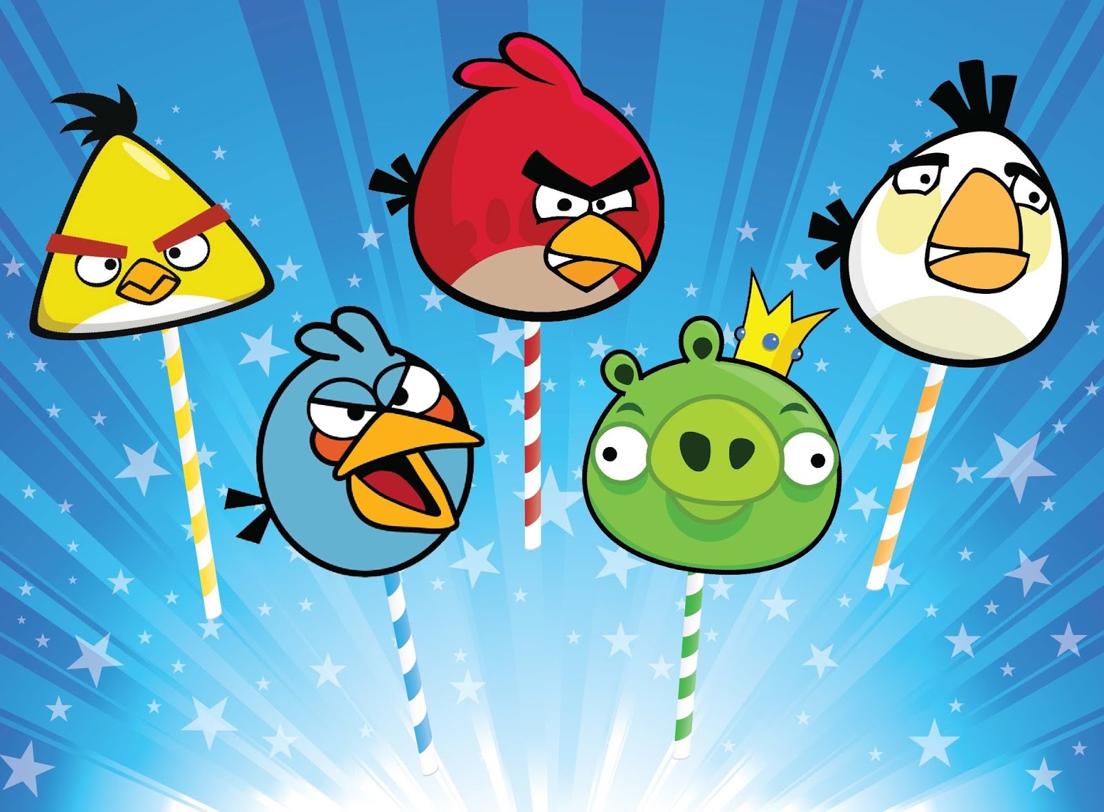 Party Hat: Jermain's Angry Bird Birthday Bash