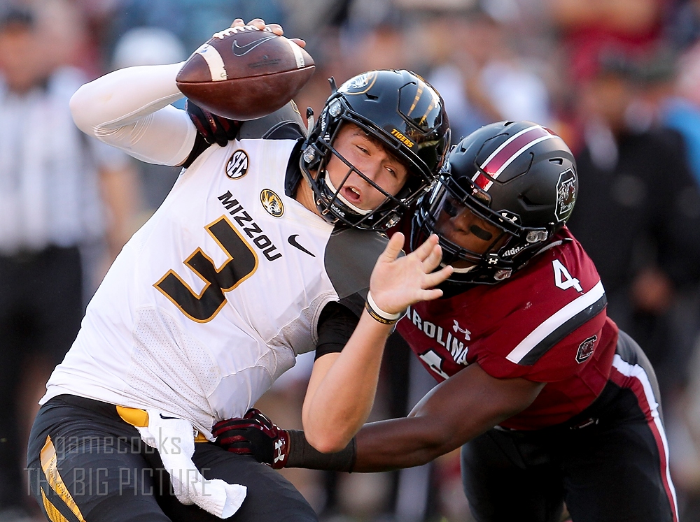 Gamecocks-The Big Picture