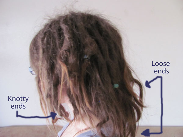 Life As it Is, Dreams As I Make Them: Natural Backcombed Dreads, 9 ...