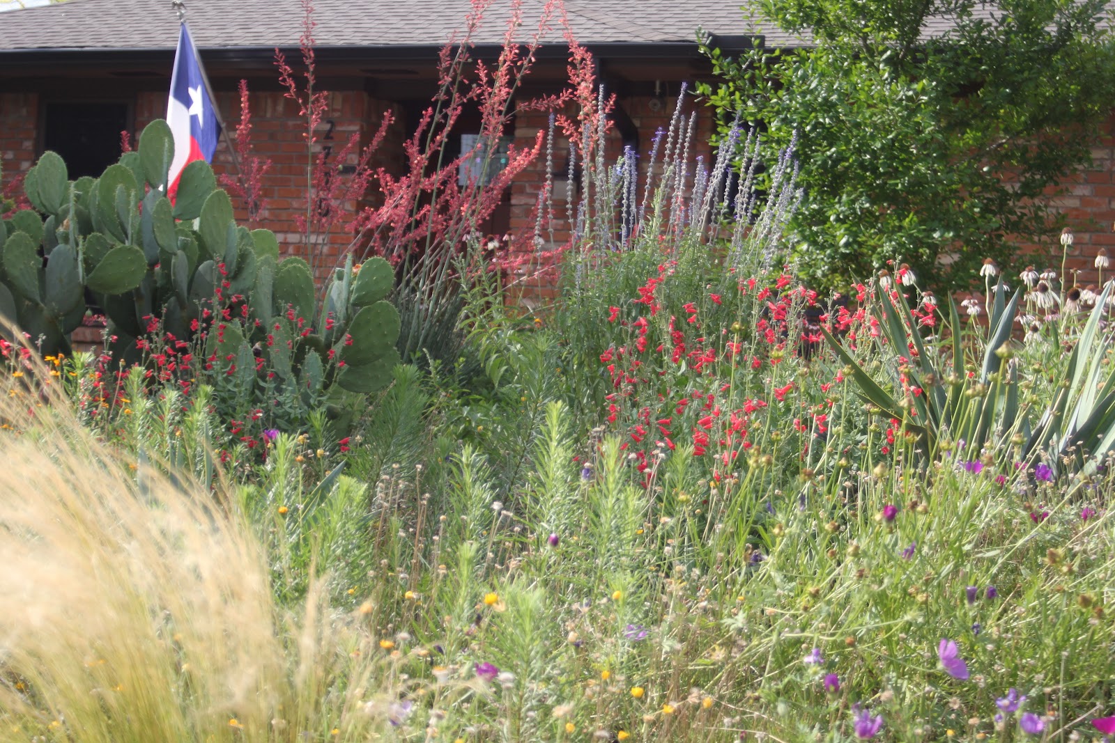 Rock-Oak-Deer: A Visit to Plano Prairie Garden