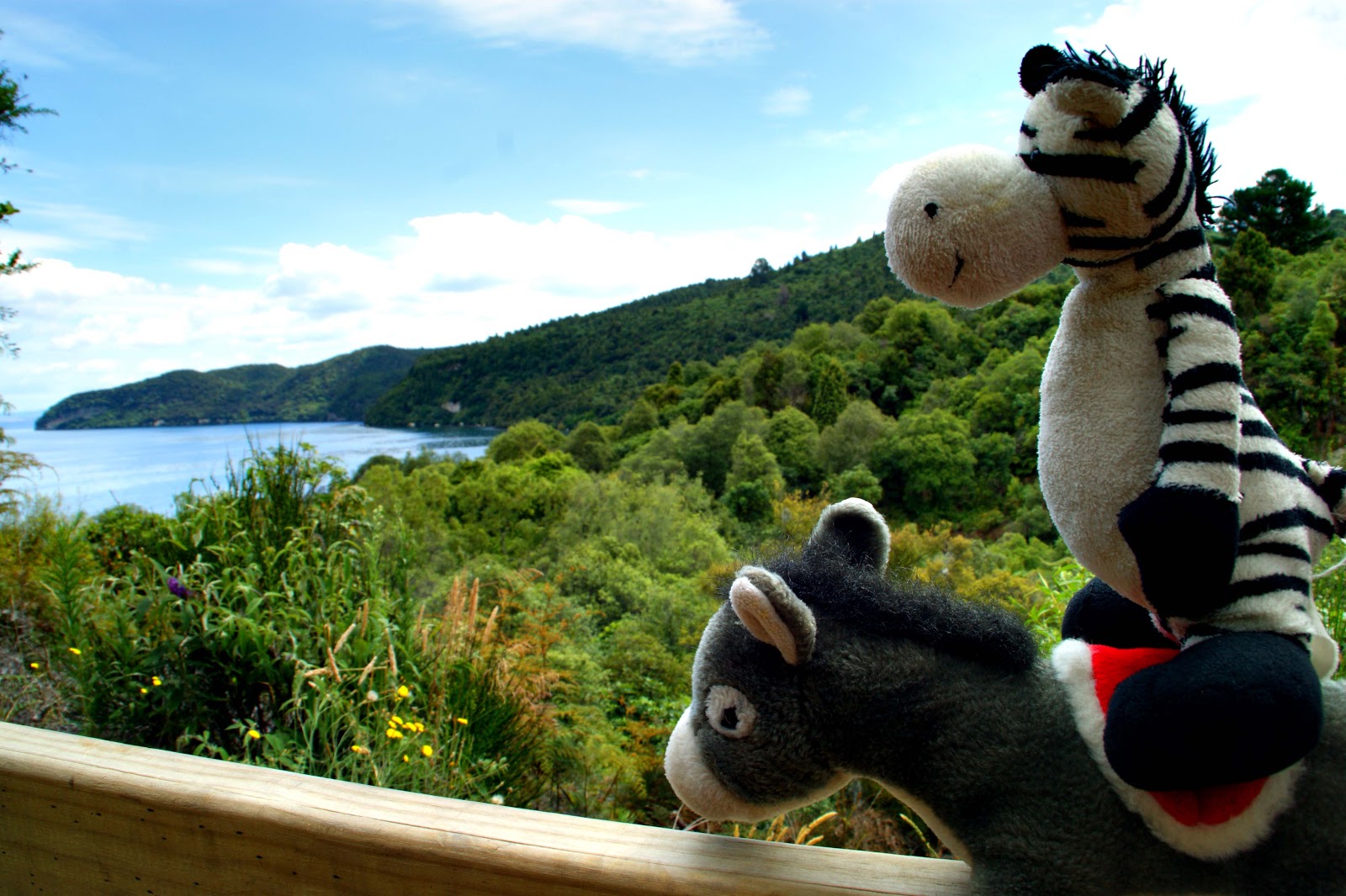 Zebresel.: Zebresel.