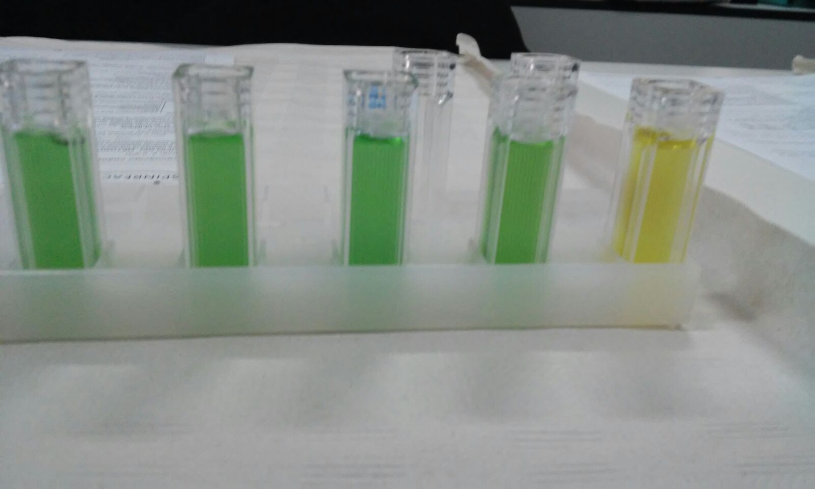 Prácticas Bioquímica: Determinación de urea