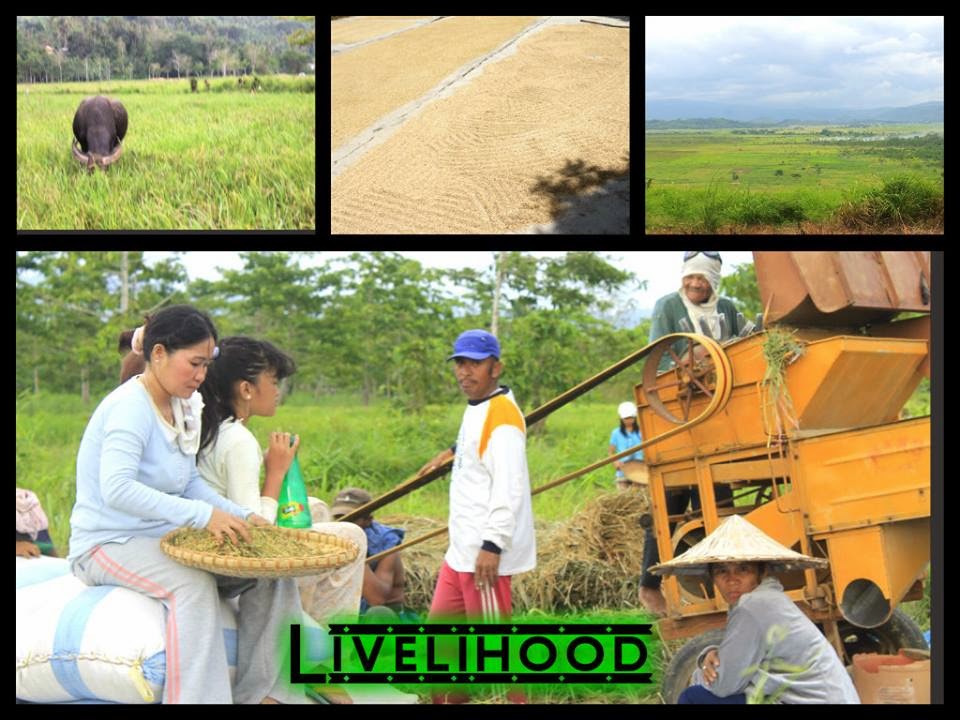 TOP 5 PROBLEMS OF BARANGAY LUOP