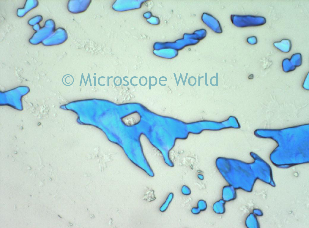 Microscope World Blog: Sugar under a Polarizing Microscope