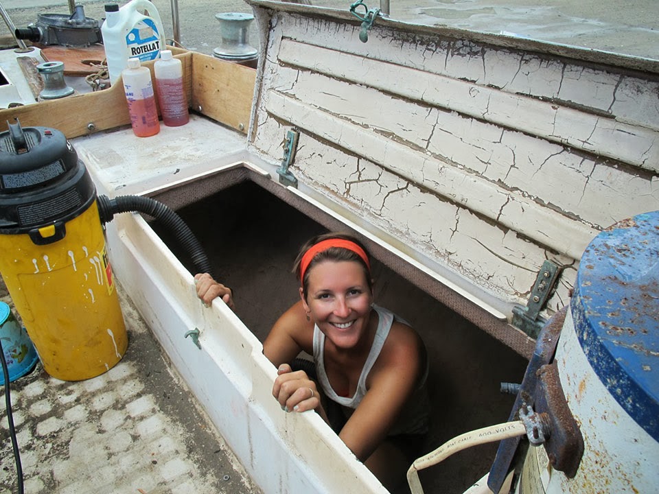 Not Quite Seasoned, but Very Well Salted: Cleaning Up the Bilge