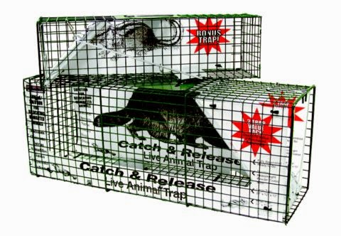 Mid-Missouri Central Outdoor Reviews (Hunting, Fishing, Trapping ...