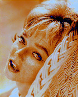 Slice of Cheesecake: Yvette Vickers, pictorial